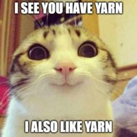 40 Funny Crochet Memes To Give You A Good Laugh