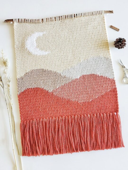 21 Easy Tapestry Crochet Projects for Beginners! - I Can Crochet That