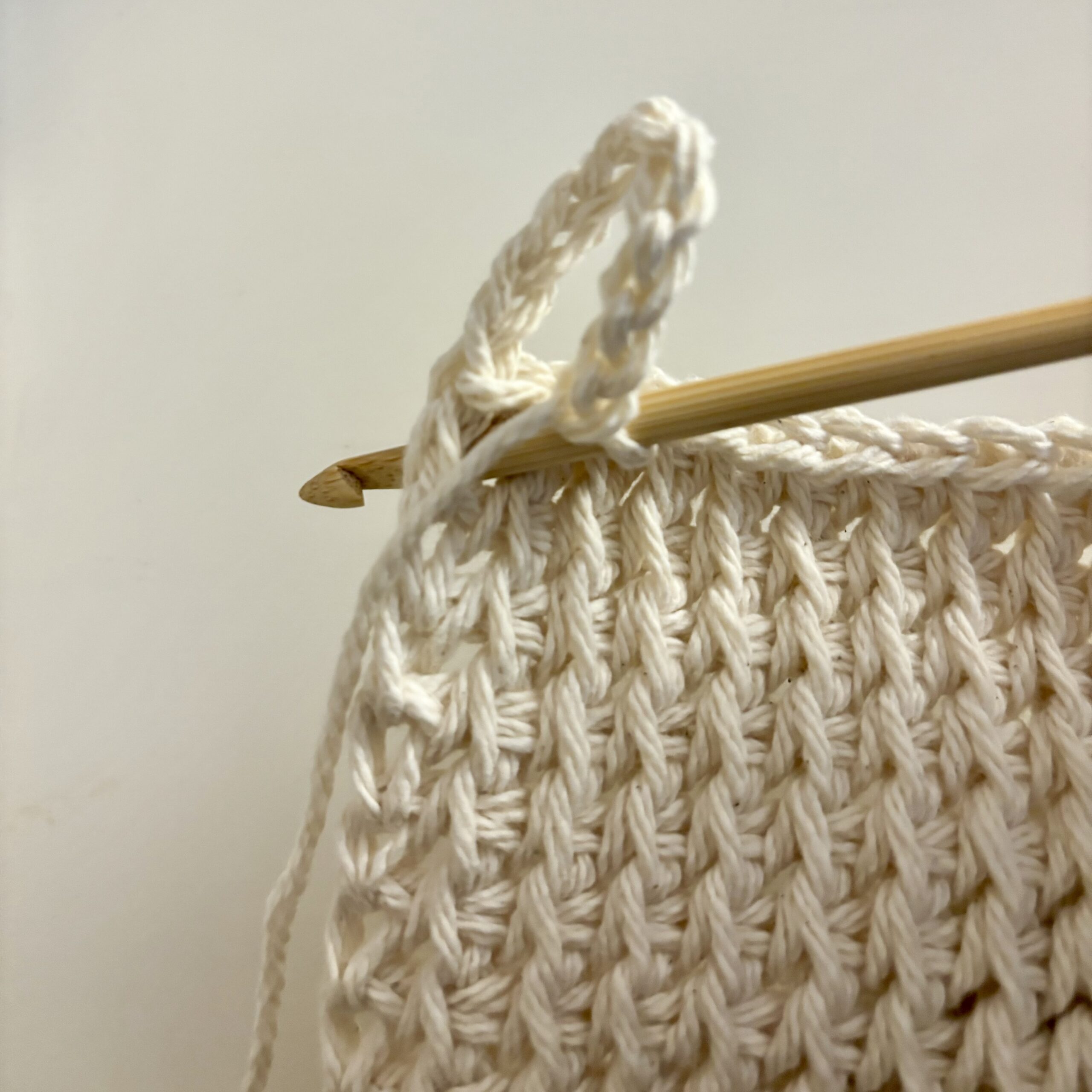 Elevate Your Kitchen: Free Tunisian Crochet Dishcloth Pattern - I Can ...