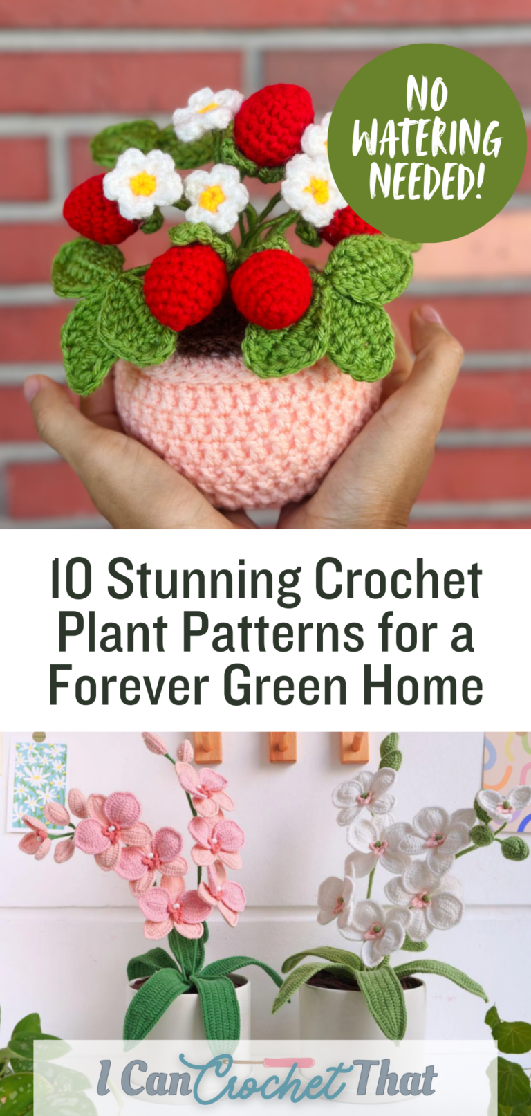 10 Stunning Crochet Plant Patterns for a Forever Green Home - I Can ...